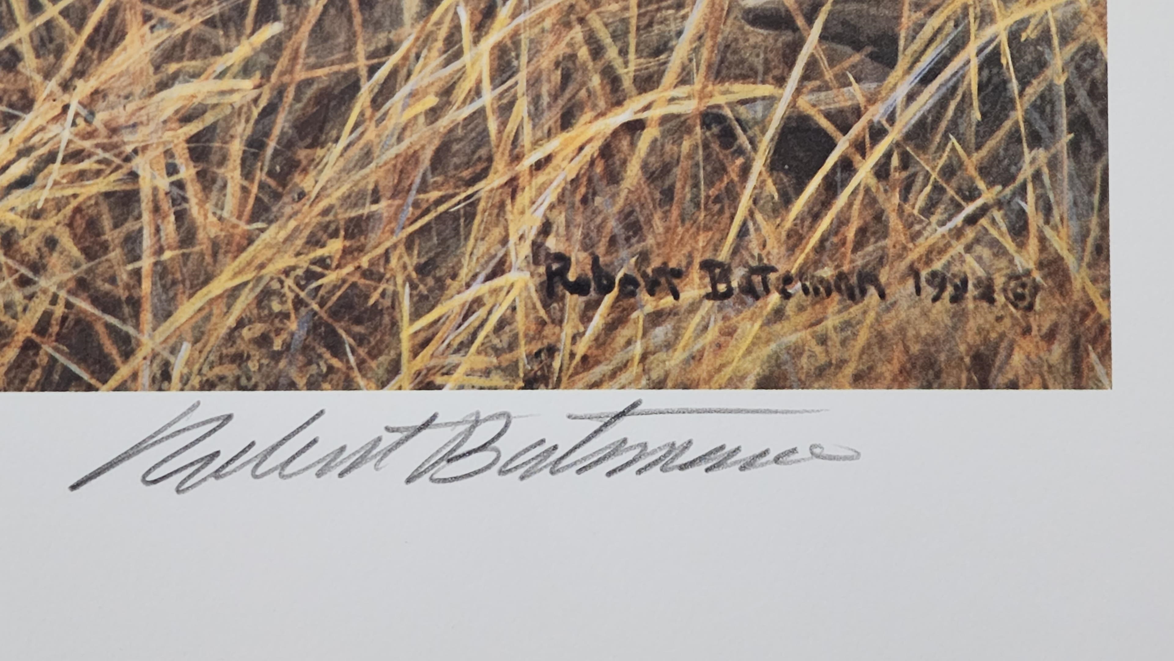 Robert Bateman | Robert Bateman Signed Limited Edition Lithograph ...