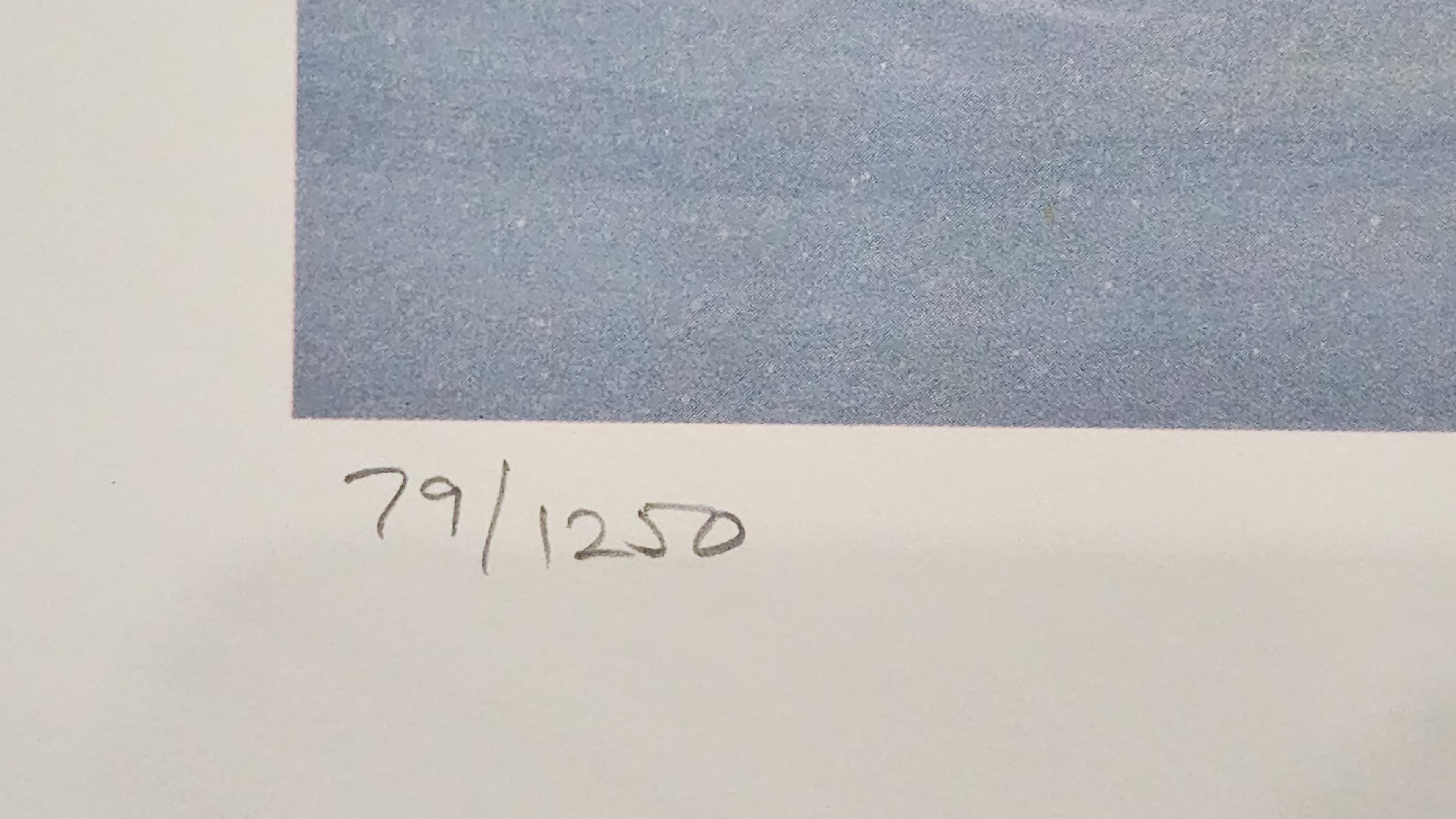 Ronald S. Parker | Ron Parker Signed Limited Edition Lithograph | MutualArt