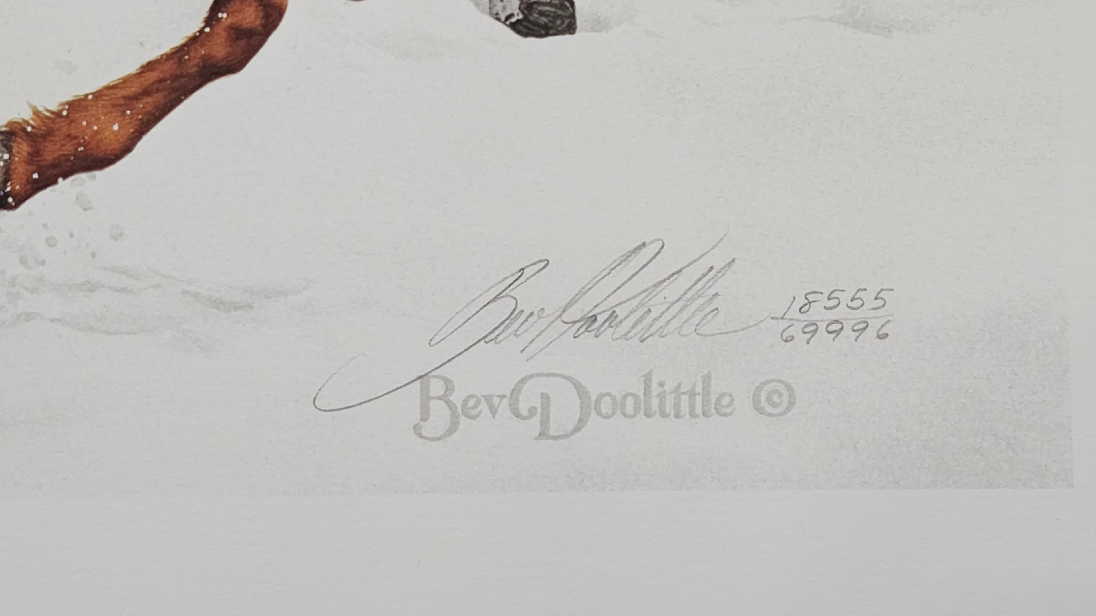 Bev Doolittle | Bev Doolittle Signed Limited Edition Lithograph | MutualArt