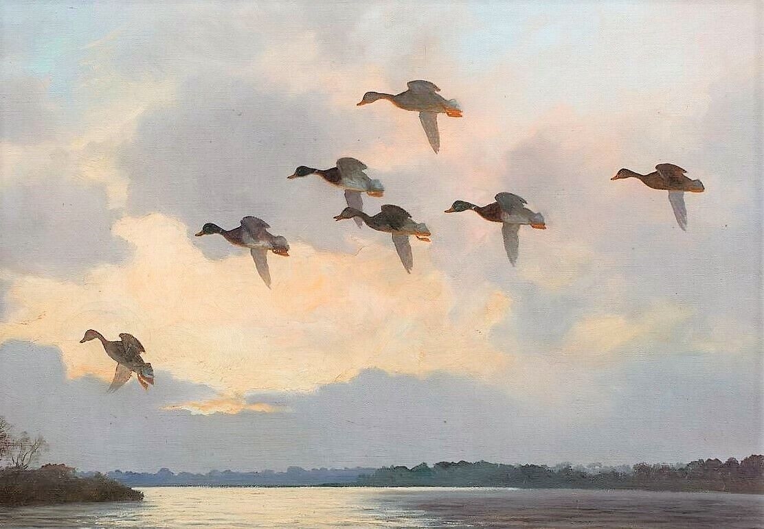 Wilfred Bailey | SCENE OF MALLARDS FLYING AT SUNSET OIL PAINTING (19th ...