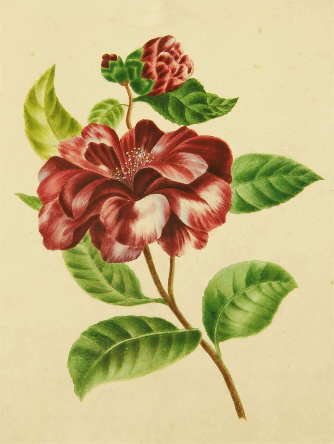 L. Farrell | 'Bunch of Colourful Flowers | MutualArt