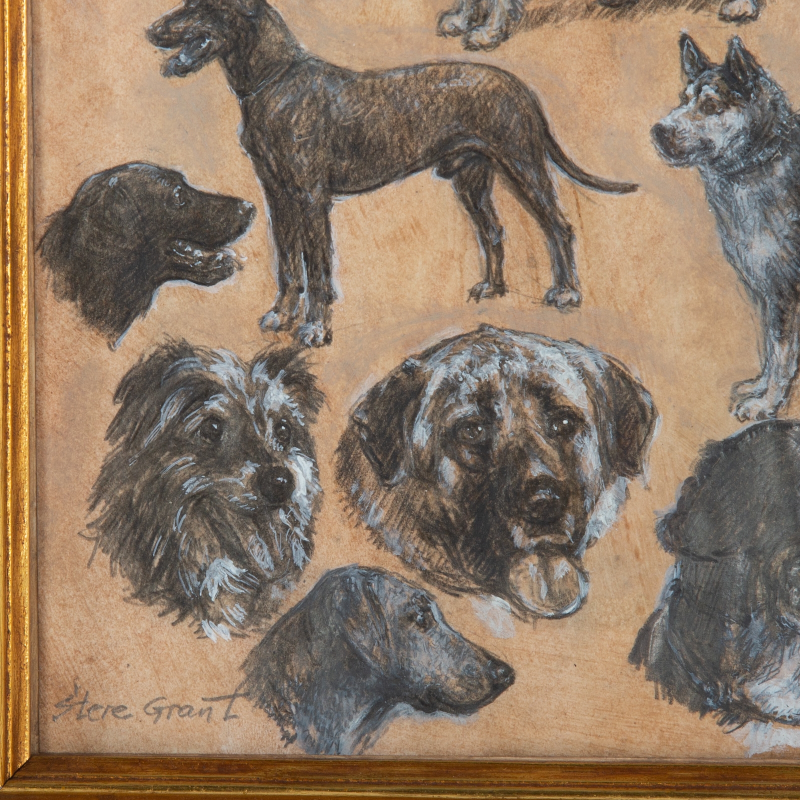 Stere Grant | Studies of Dogs | MutualArt