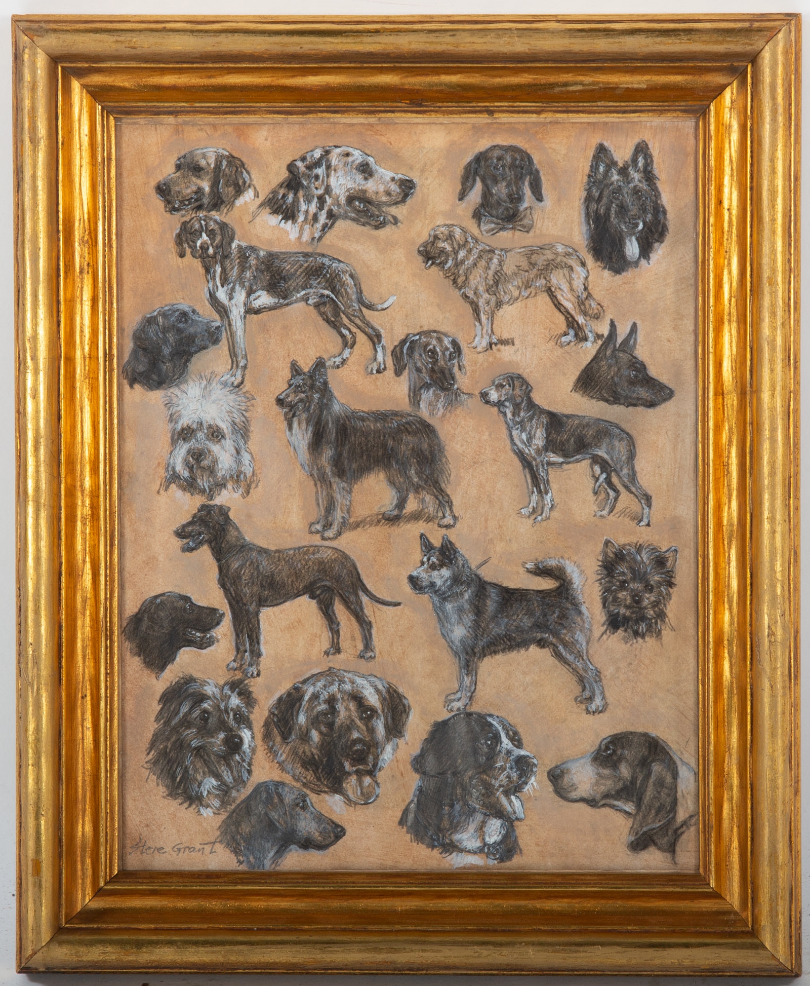 Stere Grant | Studies of Dogs | MutualArt