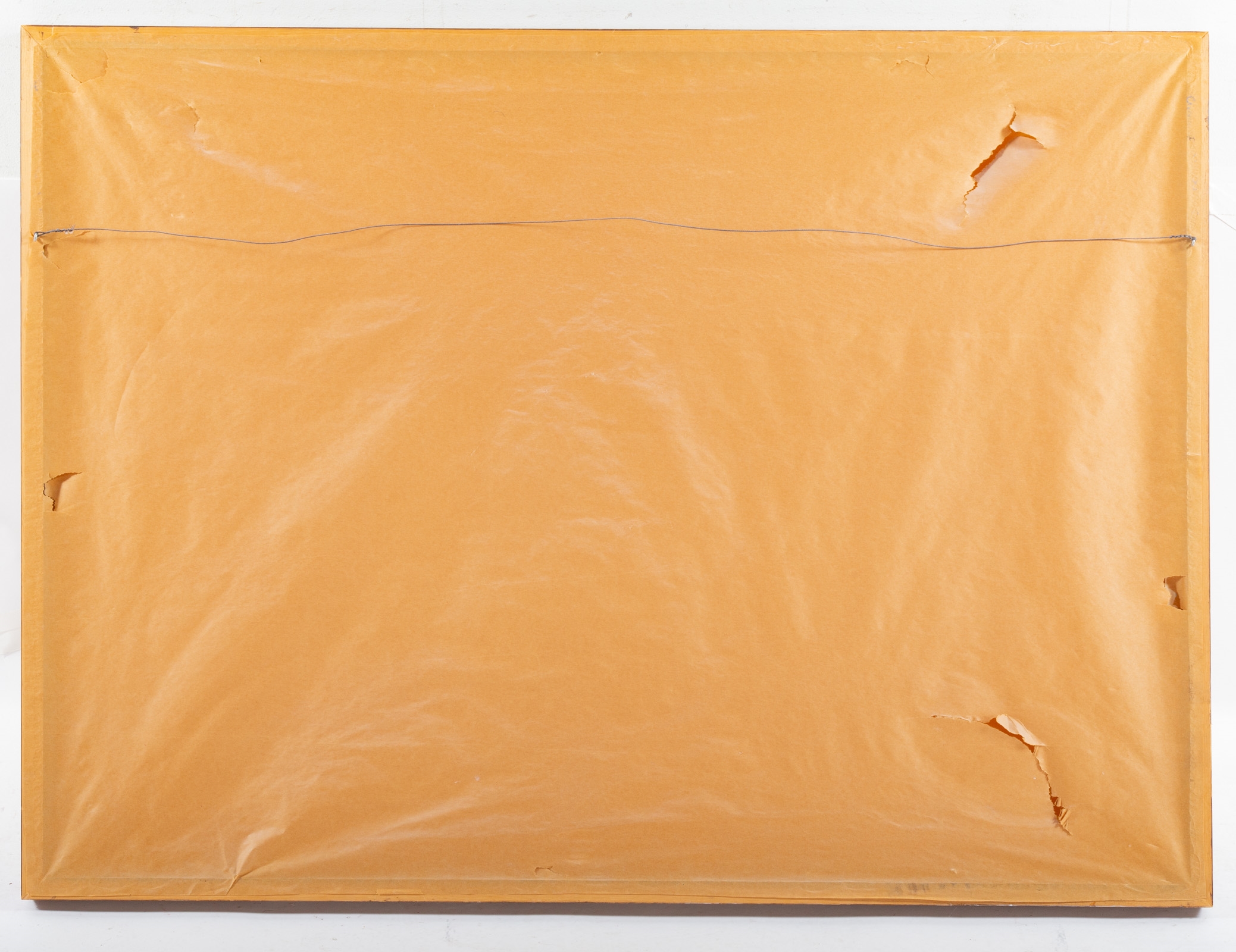 Sue Tushingham McNary | Untitled Abstract | MutualArt