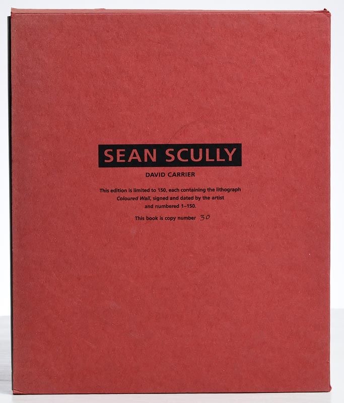 Sean Scully | Sean Scully by David Carrier | MutualArt