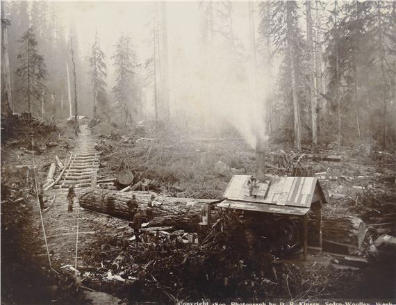 Darius Kinsey | Darius Kinsey Atlas Timber Co Mill Albumen Photograph ...
