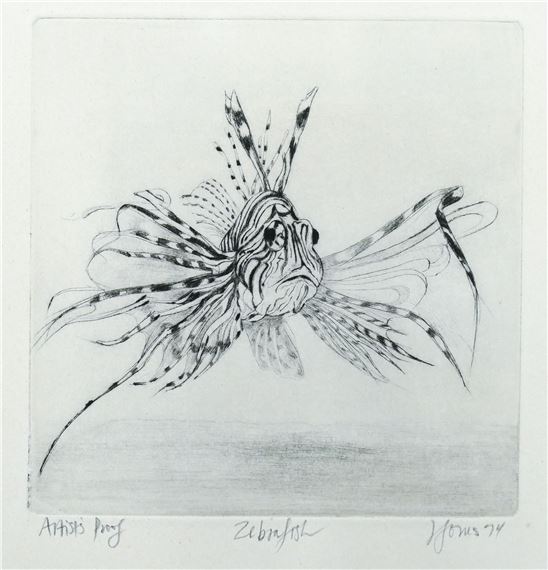 Liza Jones | Liza Jones ''Zebra Fish'' Artist Proof Etching 12''x9 ...