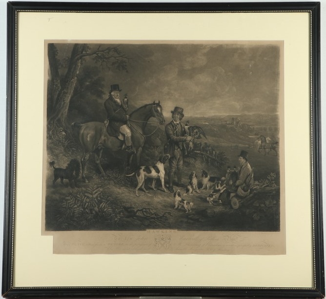 James Howe | Hawking, | MutualArt