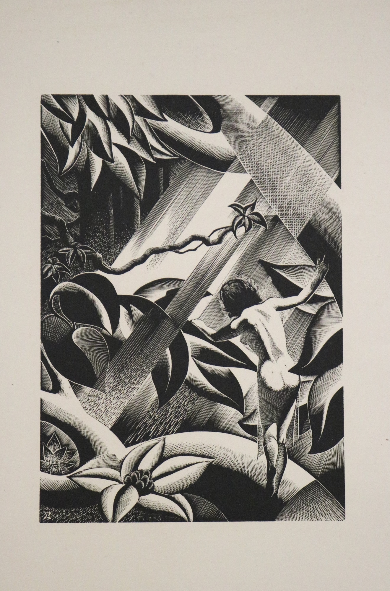 Paul Hambleton Landacre | Rima, 1936, (1936) | MutualArt