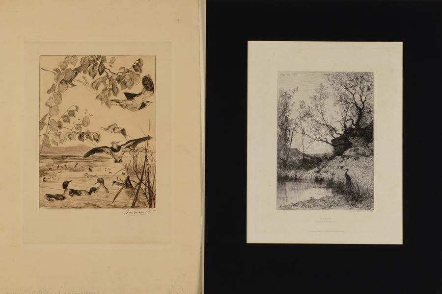 Adolphe Appian | A pond | MutualArt