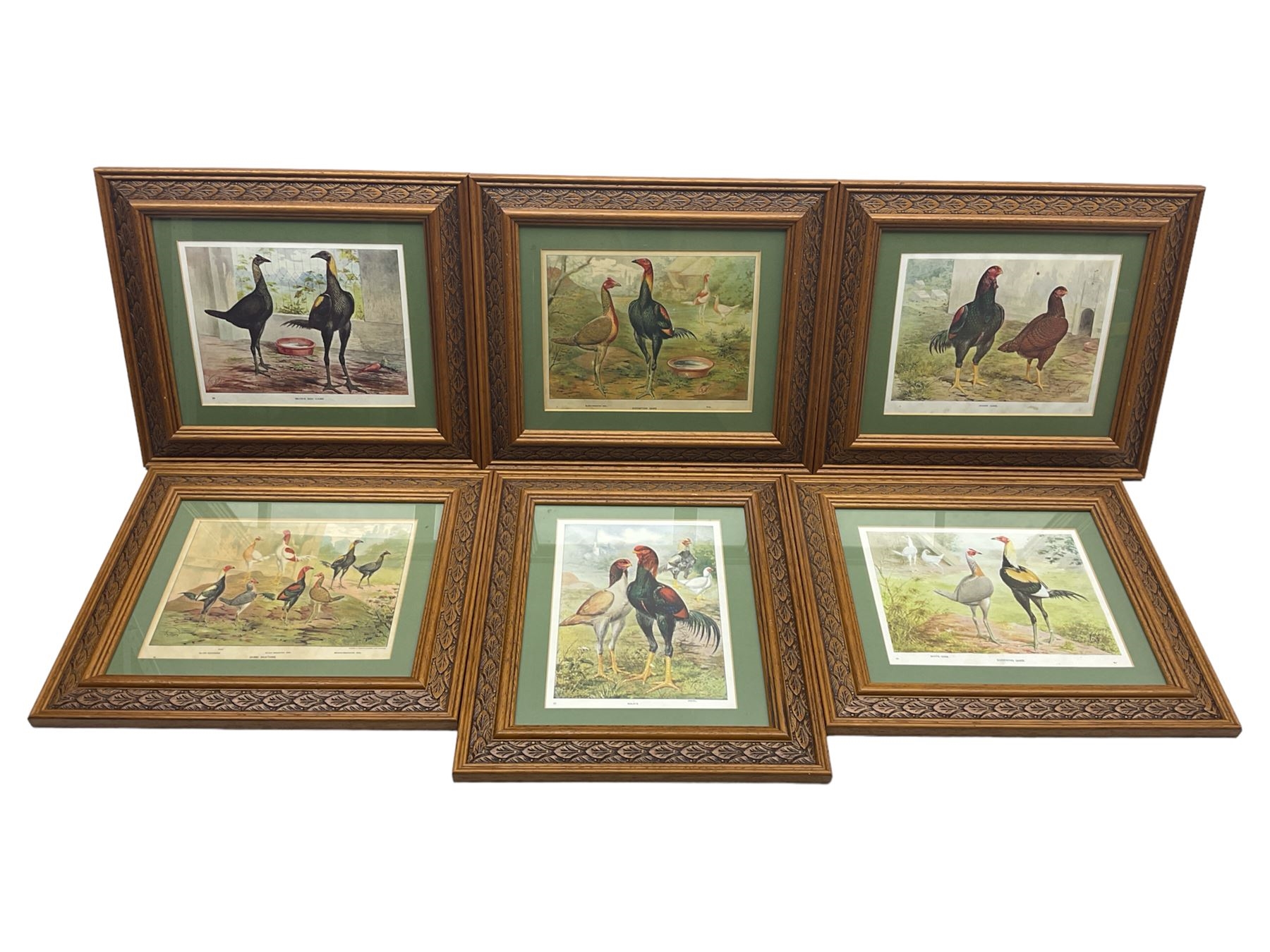 Joseph Williamson Ludlow | Fowl Studies | MutualArt