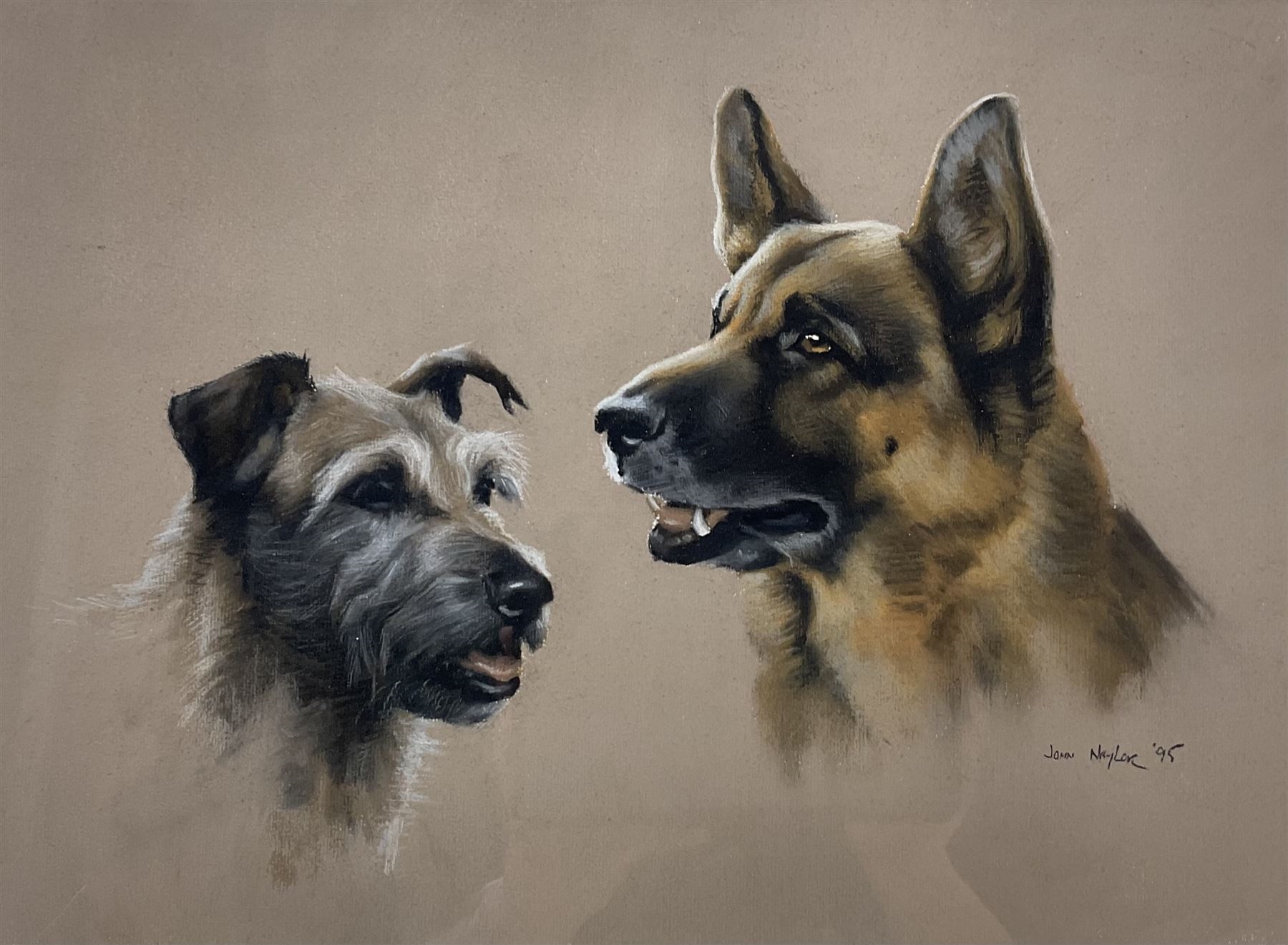 John Naylor | Portrait of Two Dogs (1995) | MutualArt