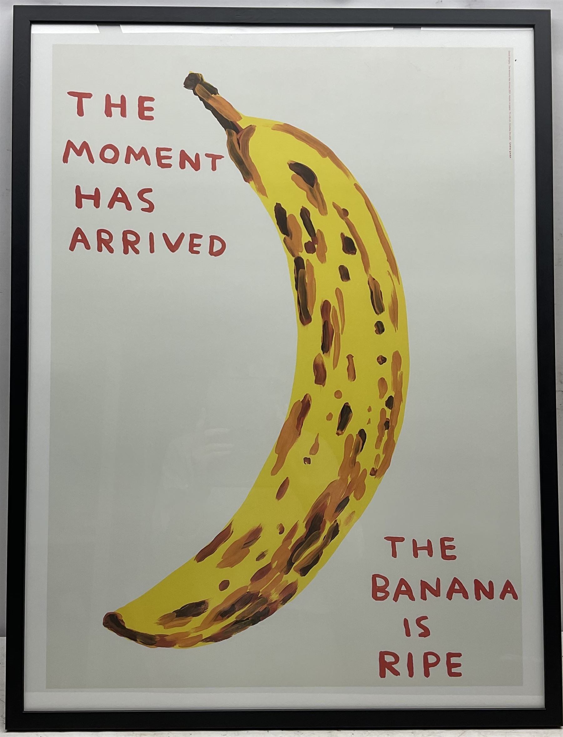 David Shrigley | The moment has arrived - The banana is ripe | MutualArt