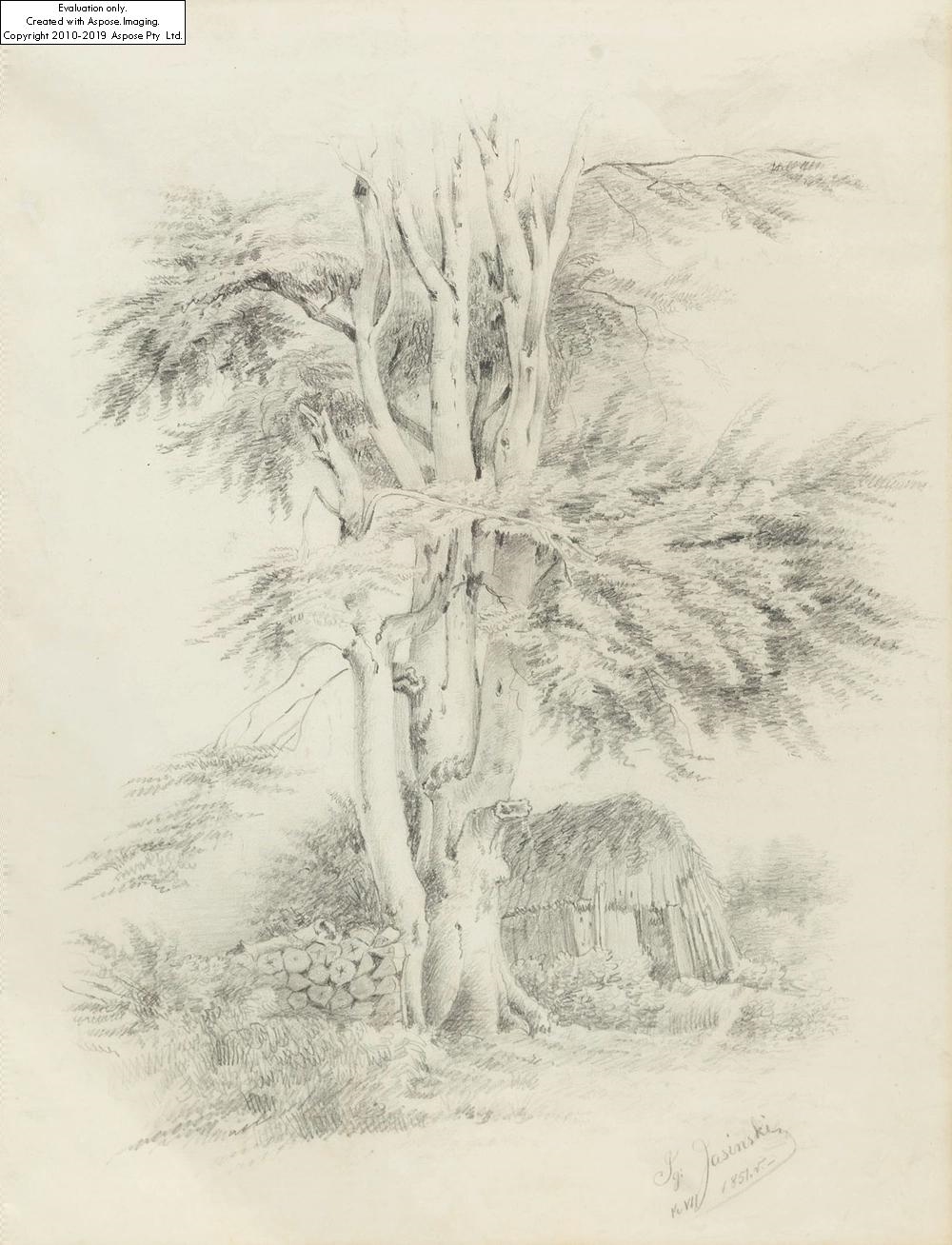 Ignacy Jasinski | Landscape with a tree (1851) | MutualArt