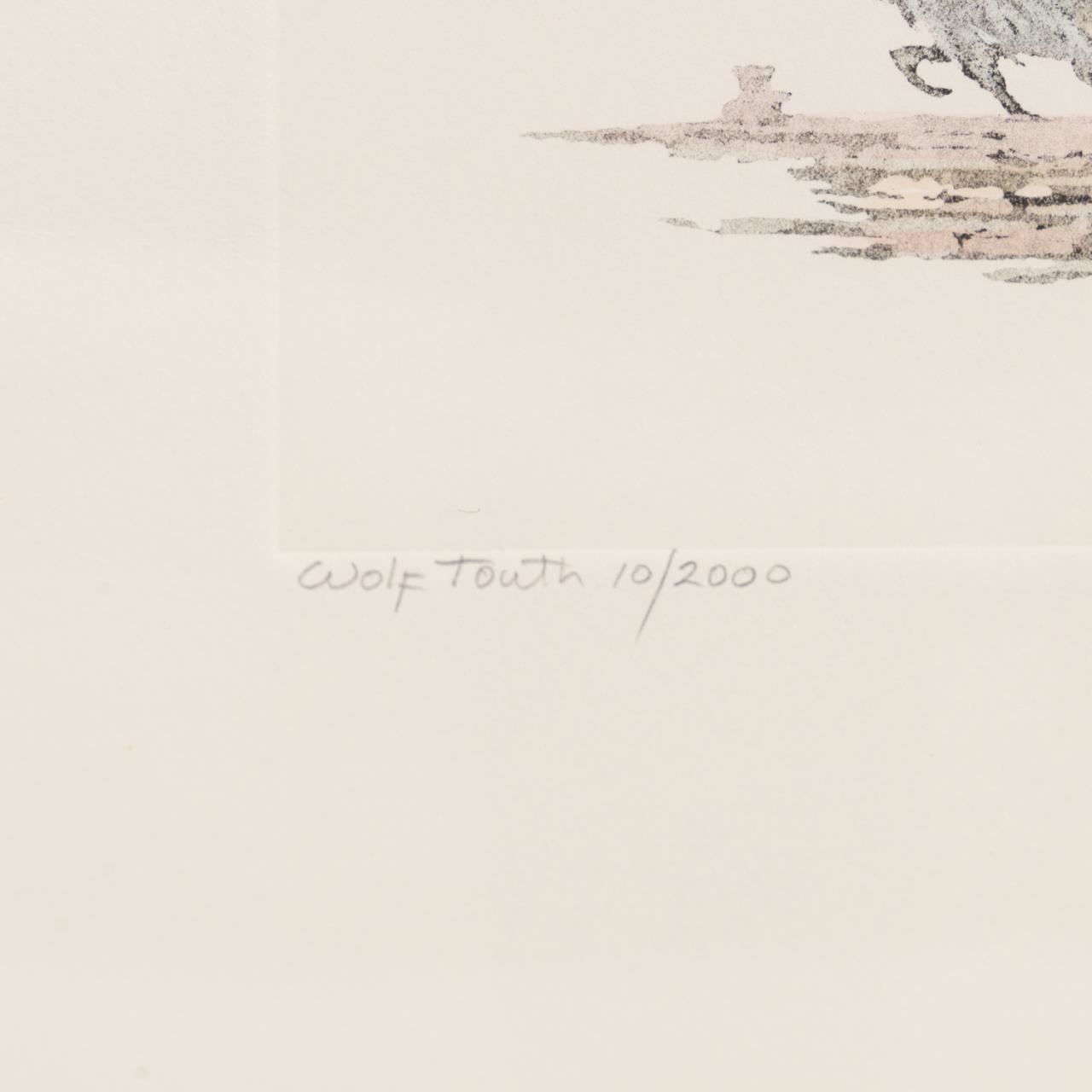 Dan Mitra | WOLF TOOTH, | MutualArt