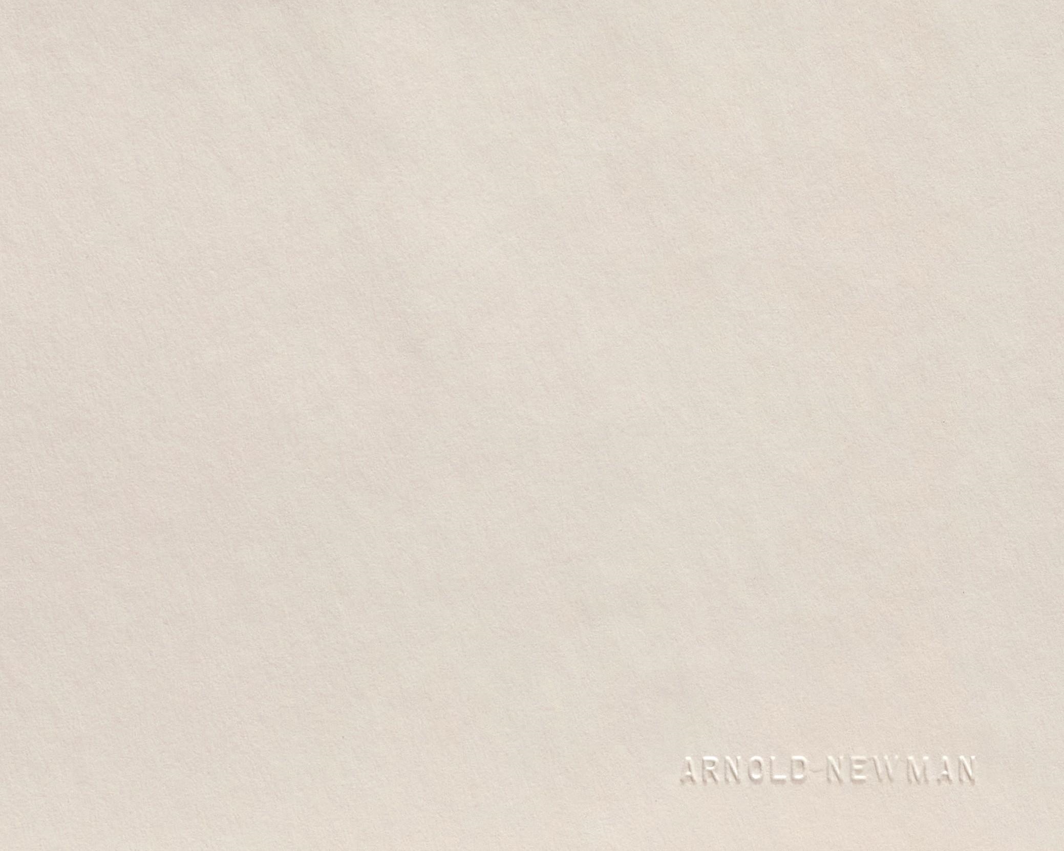 Arnold Newman | Portrait of Howard and Barbara Wise | MutualArt