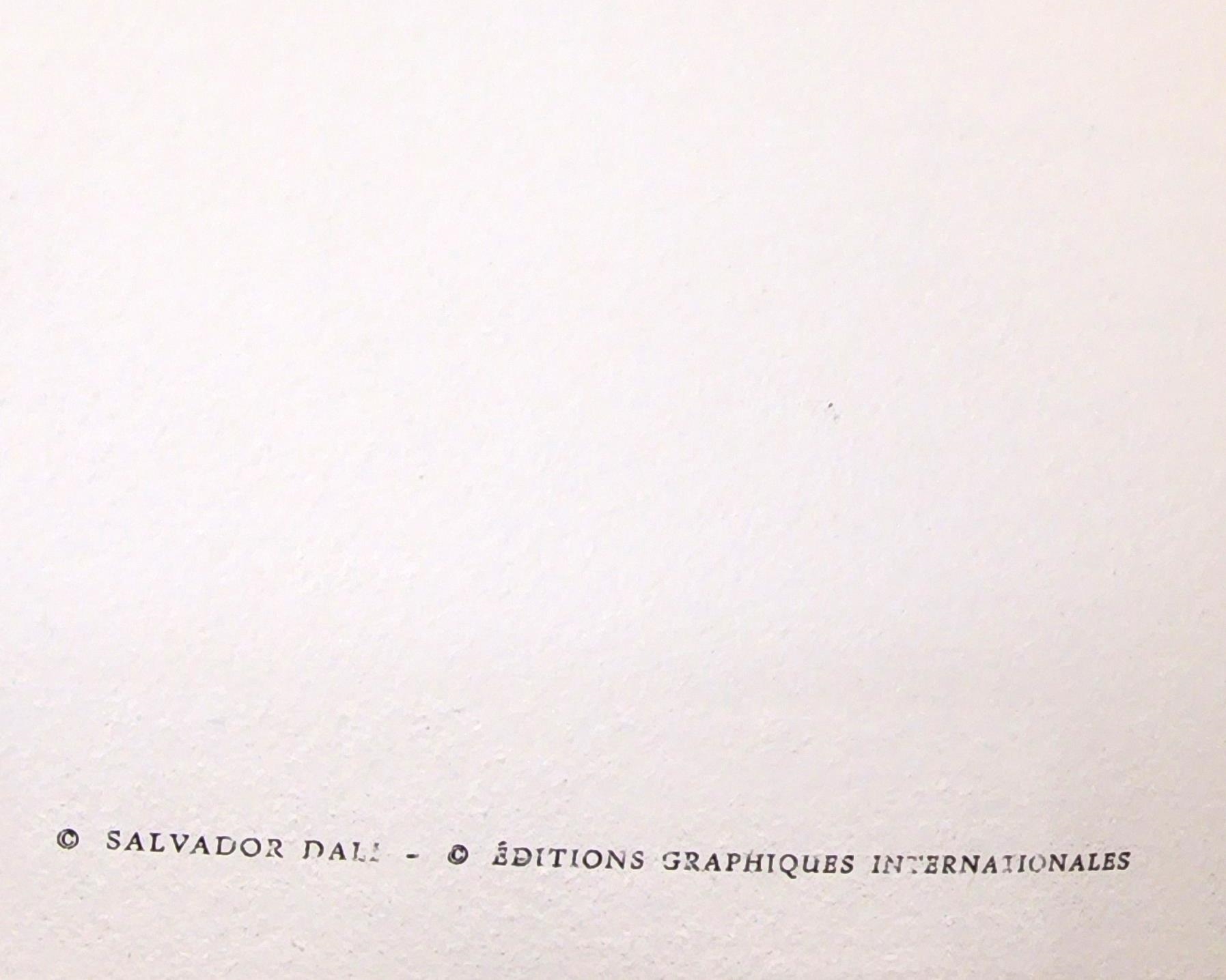 Salvador Dalí | Tiger Lilies of the Theatre, from the Surrealist ...