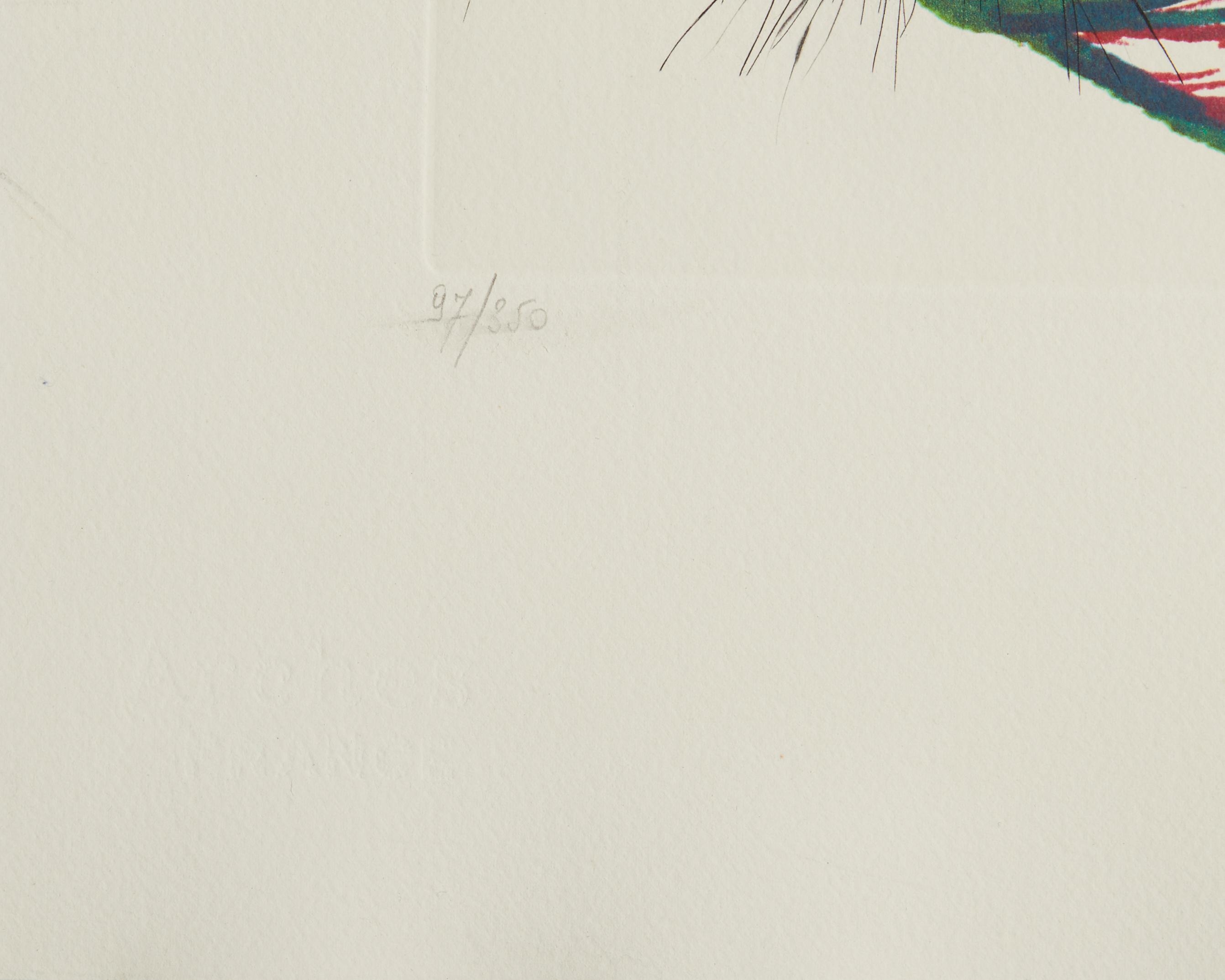 Salvador Dalí | Tiger Lilies of the Theatre, from the Surrealist ...