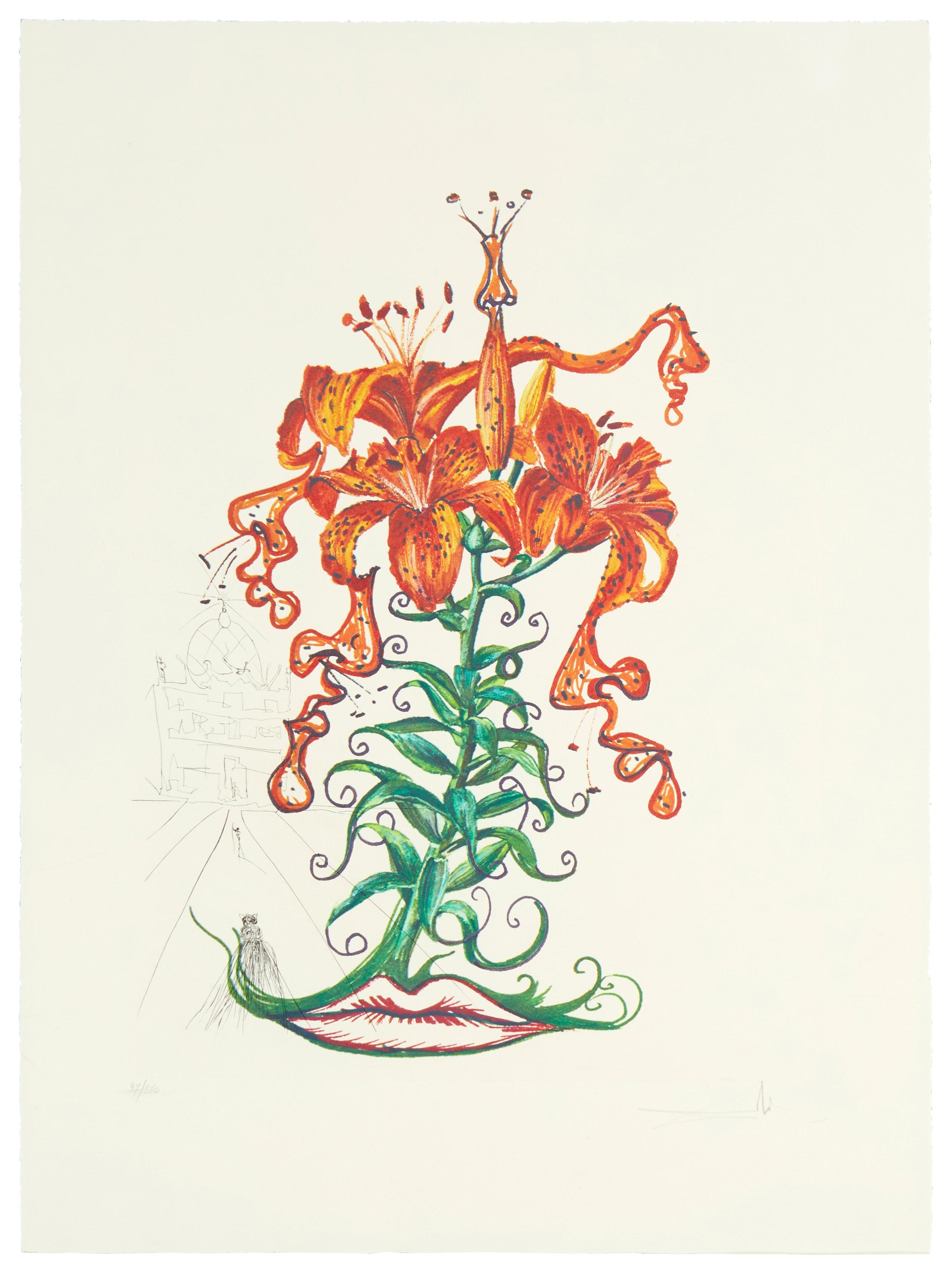 Salvador Dalí | Tiger Lilies of the Theatre, from the Surrealist Flowers suite (1972) | MutualArt