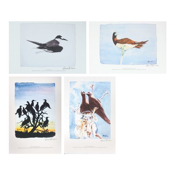 Ben Cabrera | Four Birds of Tubbataha (2012) | MutualArt