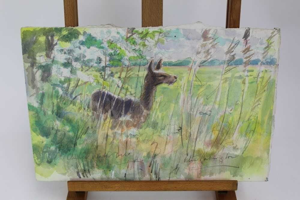 Peter Partington | Works including birds and wildlife | MutualArt