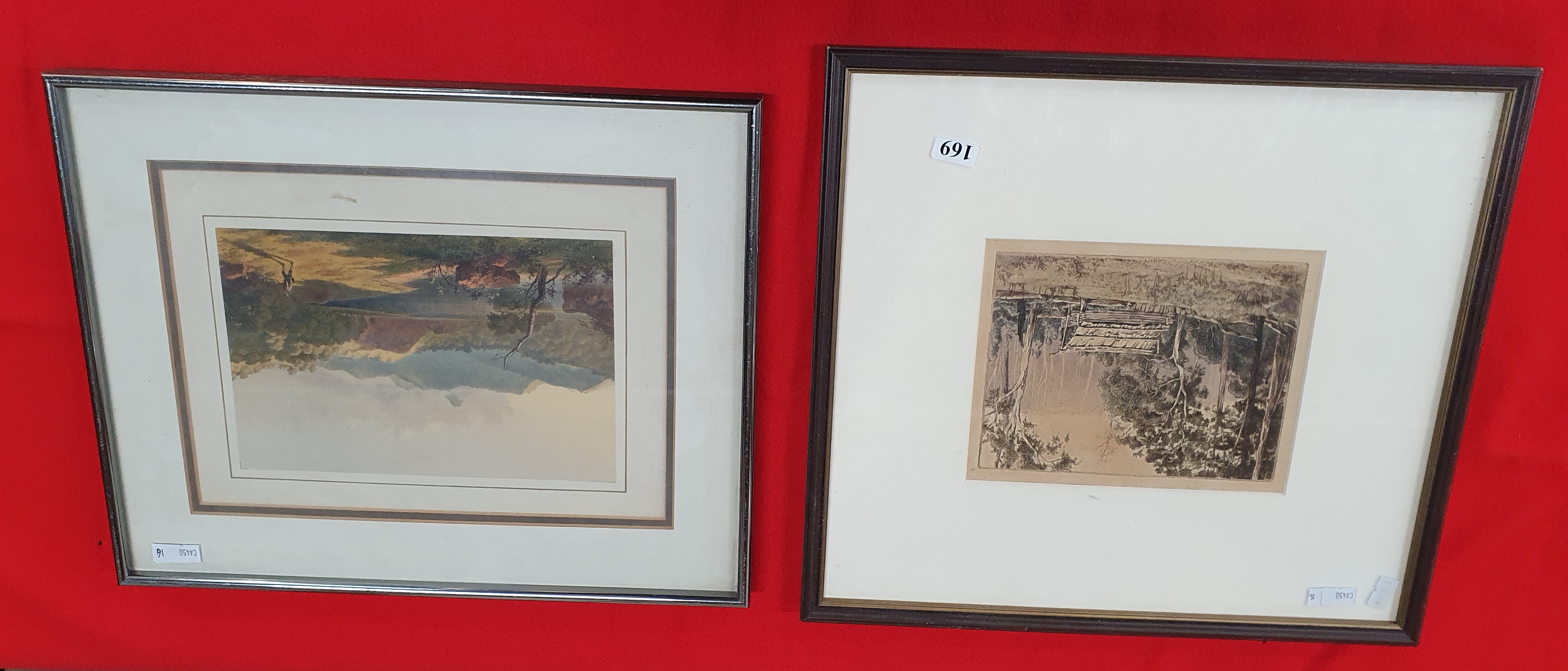 Alfred Edward Warner | TWO EARLY 19TH CENTURY AUSTRALIAN HAND COLOURED ...