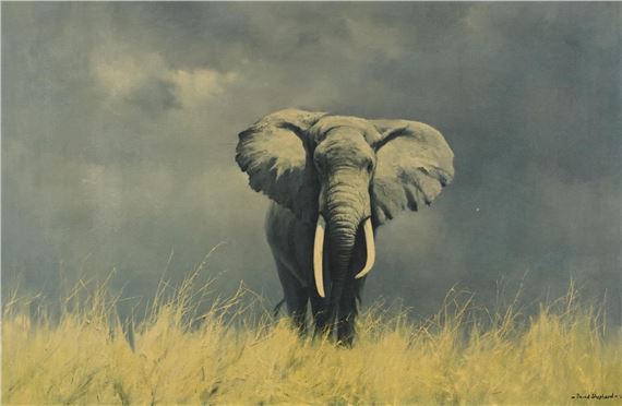 David Shepherd | Wild Elephant | MutualArt