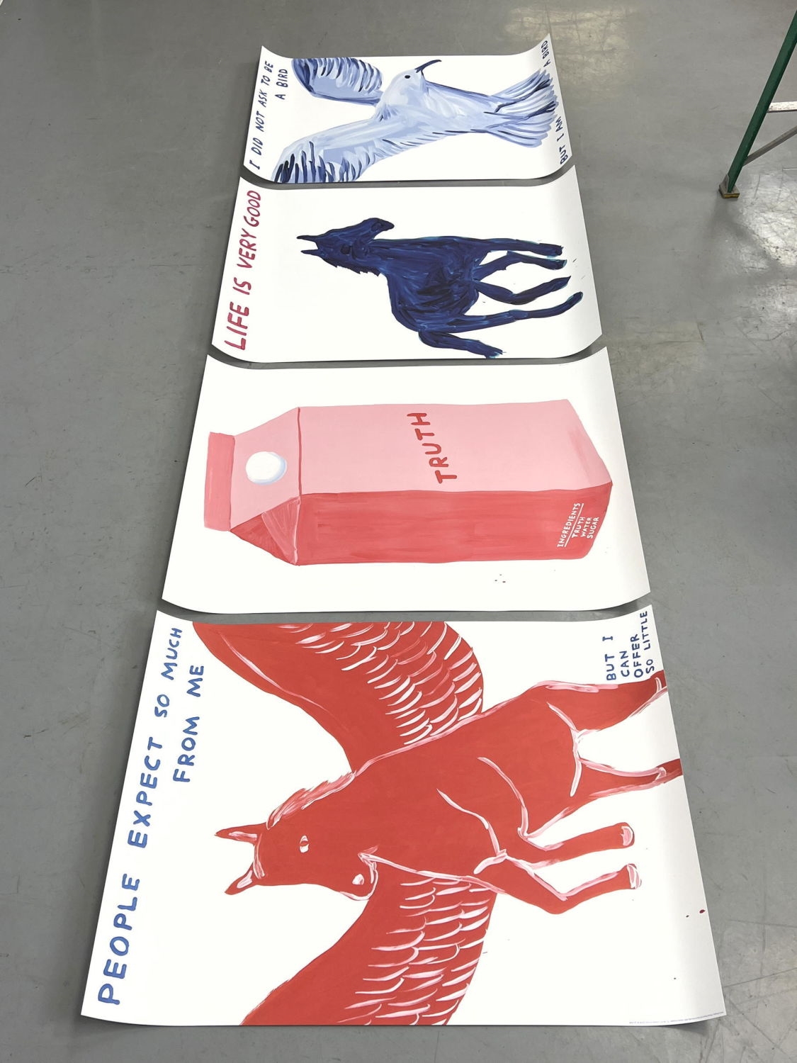 David Shrigley | David Shrigley SHRIG SHOP Posters. Unframed. Prints of ...