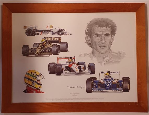 Stuart McIntyre | A tribute to Ayrton Senna | MutualArt