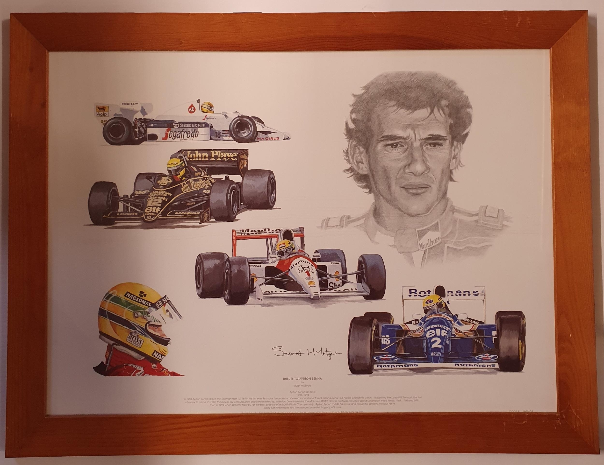 Stuart McIntyre | A tribute to Ayrton Senna | MutualArt