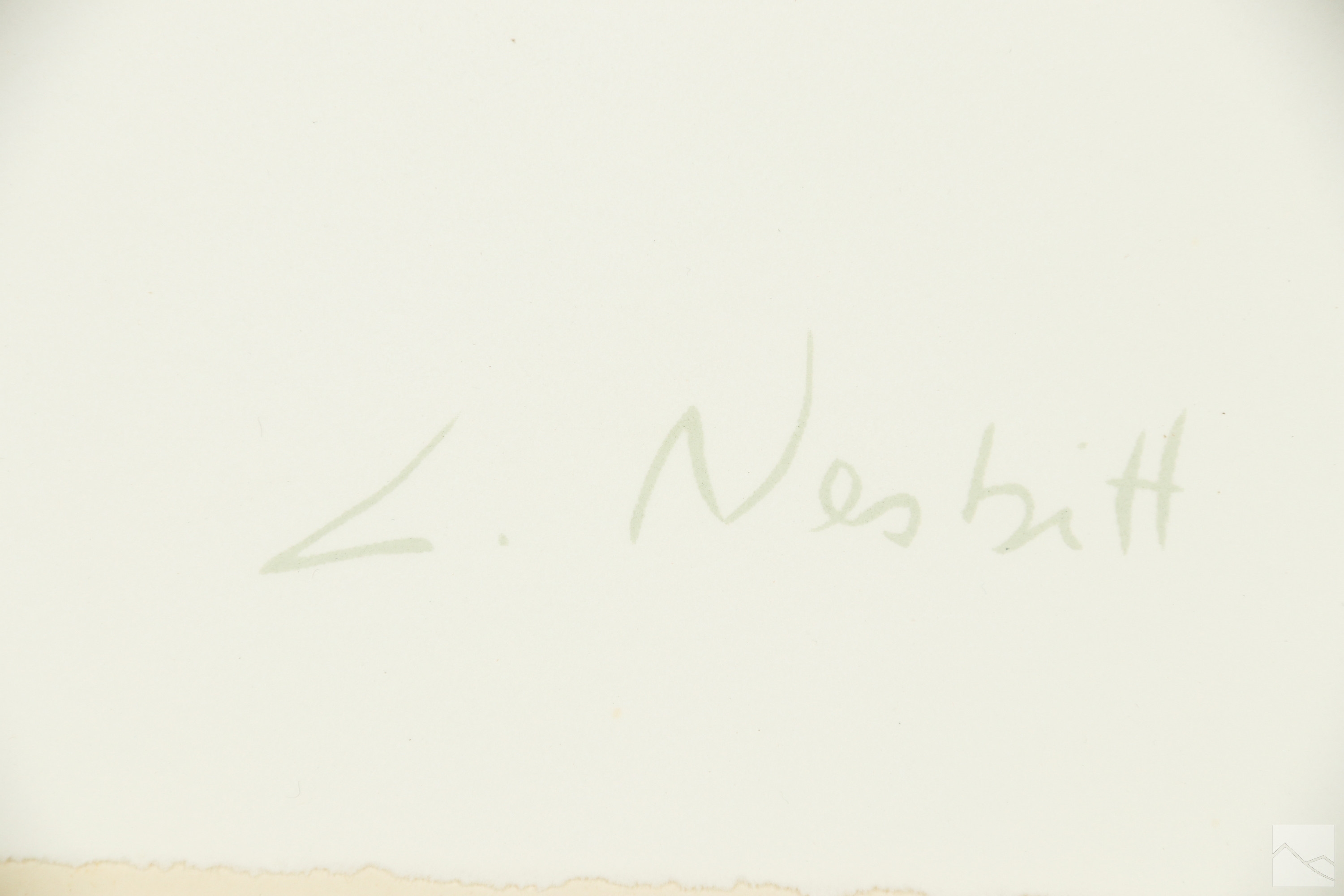 Lowell Nesbitt | Lowell B Nesbitt 1933-1993 Tulip Lithograph SIGNED ...
