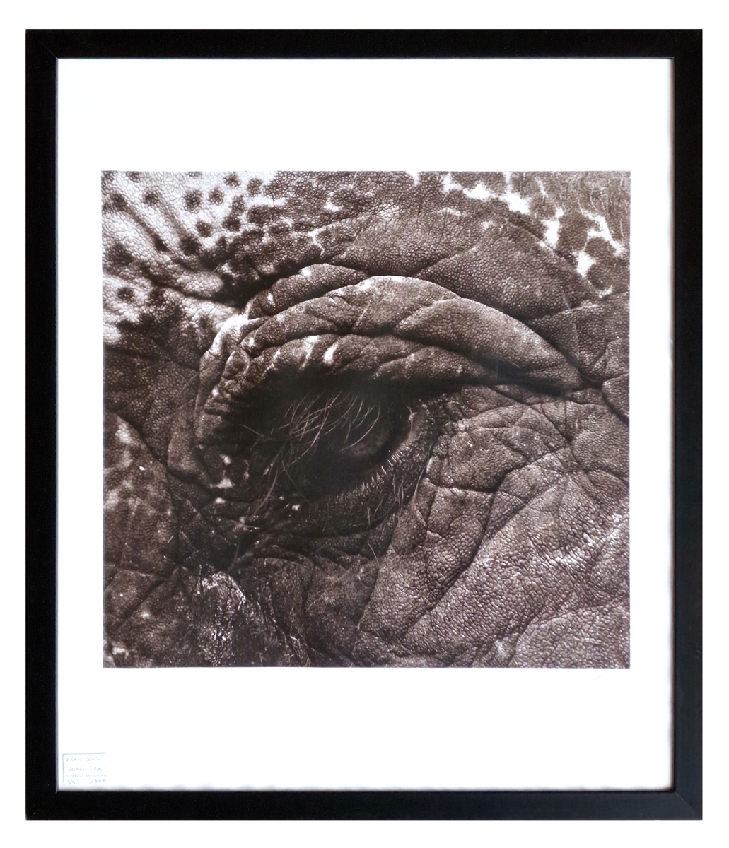 Michel Comte | DARYL HANNAH, L'UOMO VOGUE (1996) | MutualArt