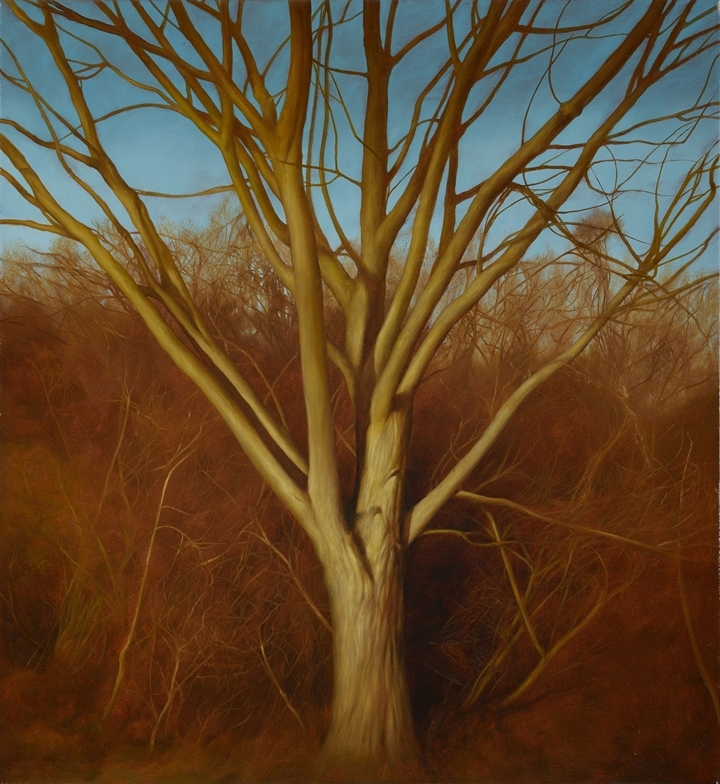 Dietmar Gross | Baum (1994) | MutualArt