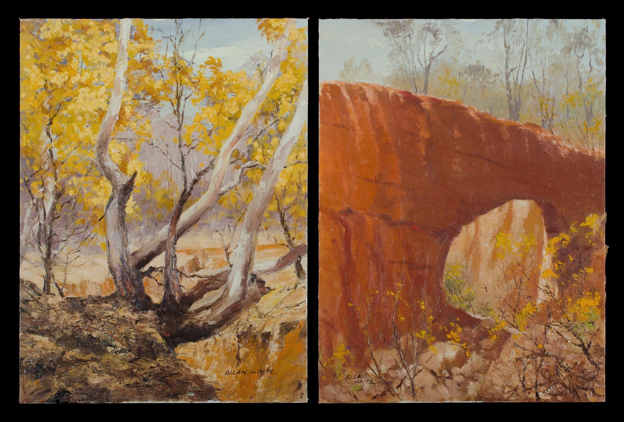 Allan Waite | The Archway, Hill End, Wattle Time, Hill End' | MutualArt