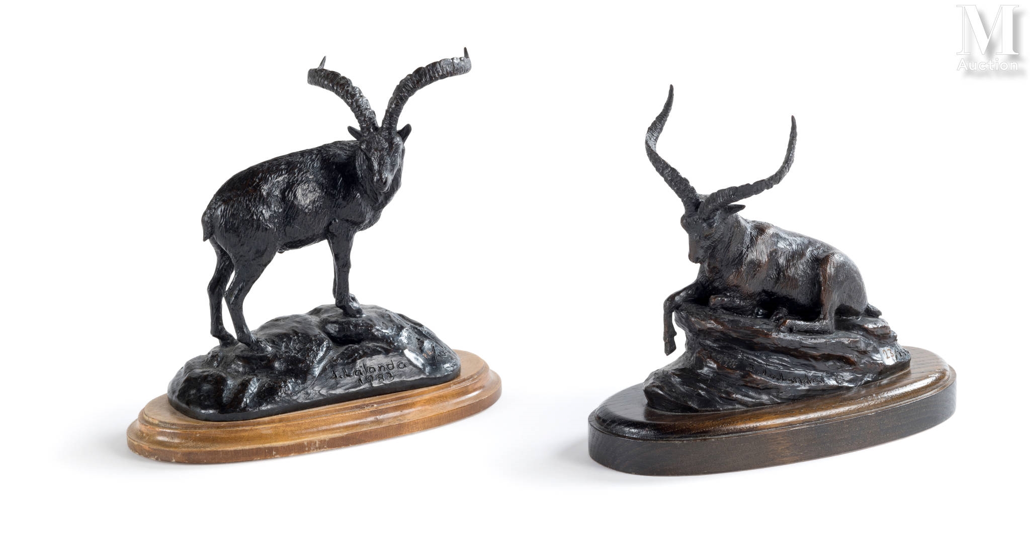 Josechu Lalanda | Bouquetin espagnol | MutualArt