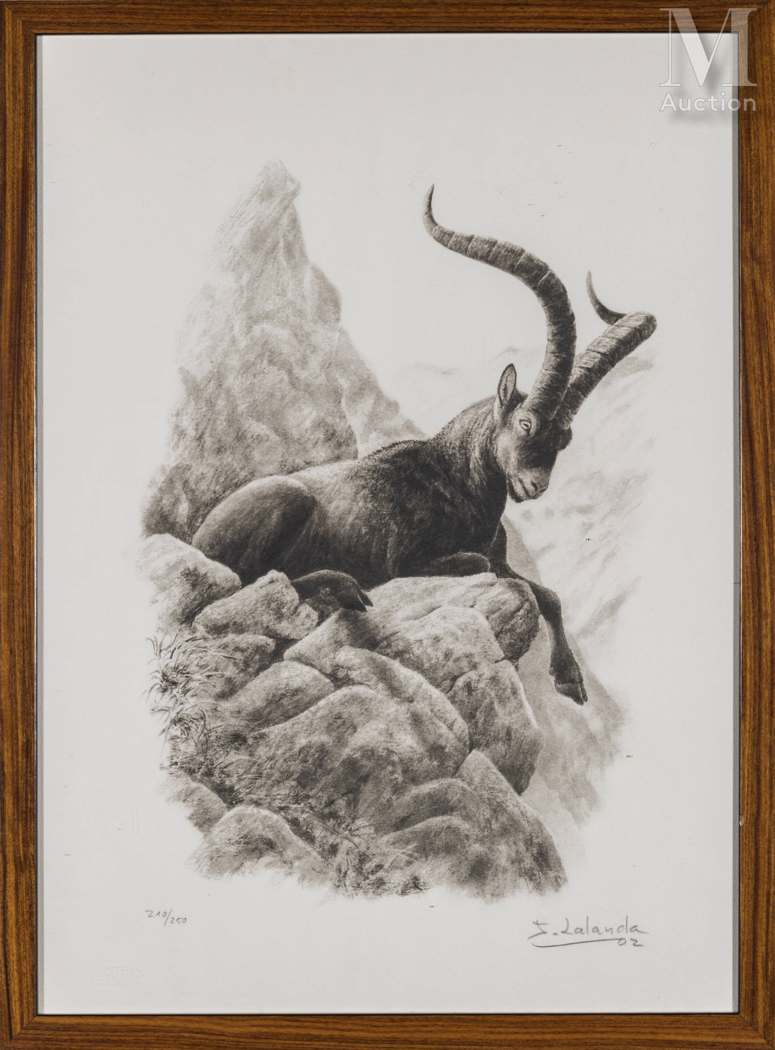 Josechu Lalanda | Bouquetin des Alpes. | MutualArt