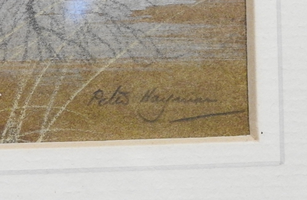 Peter Hayman | country landscape with birds | MutualArt