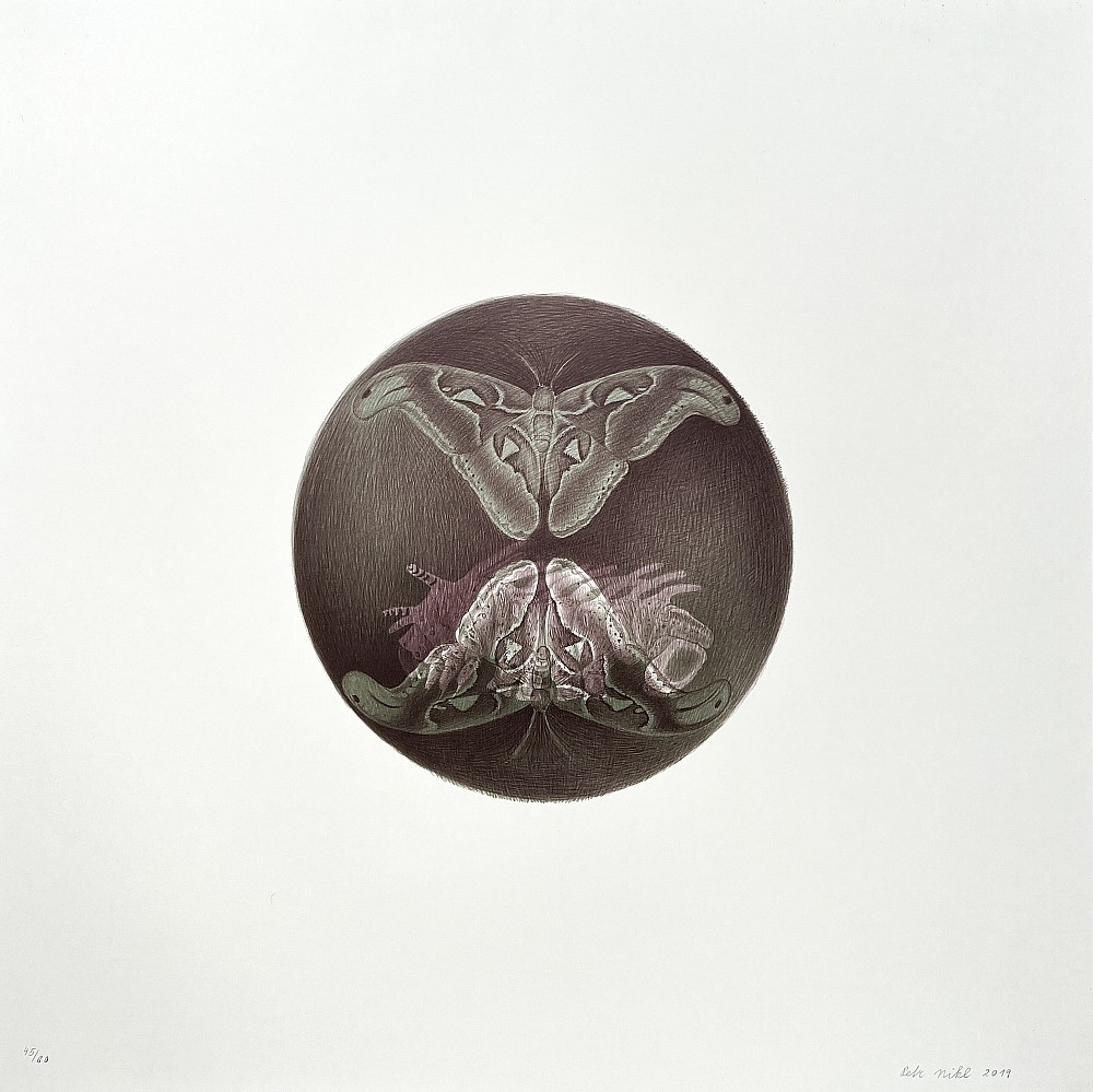 Petr Nikl | Atlas velký: Hadí motýl II (2019) | MutualArt