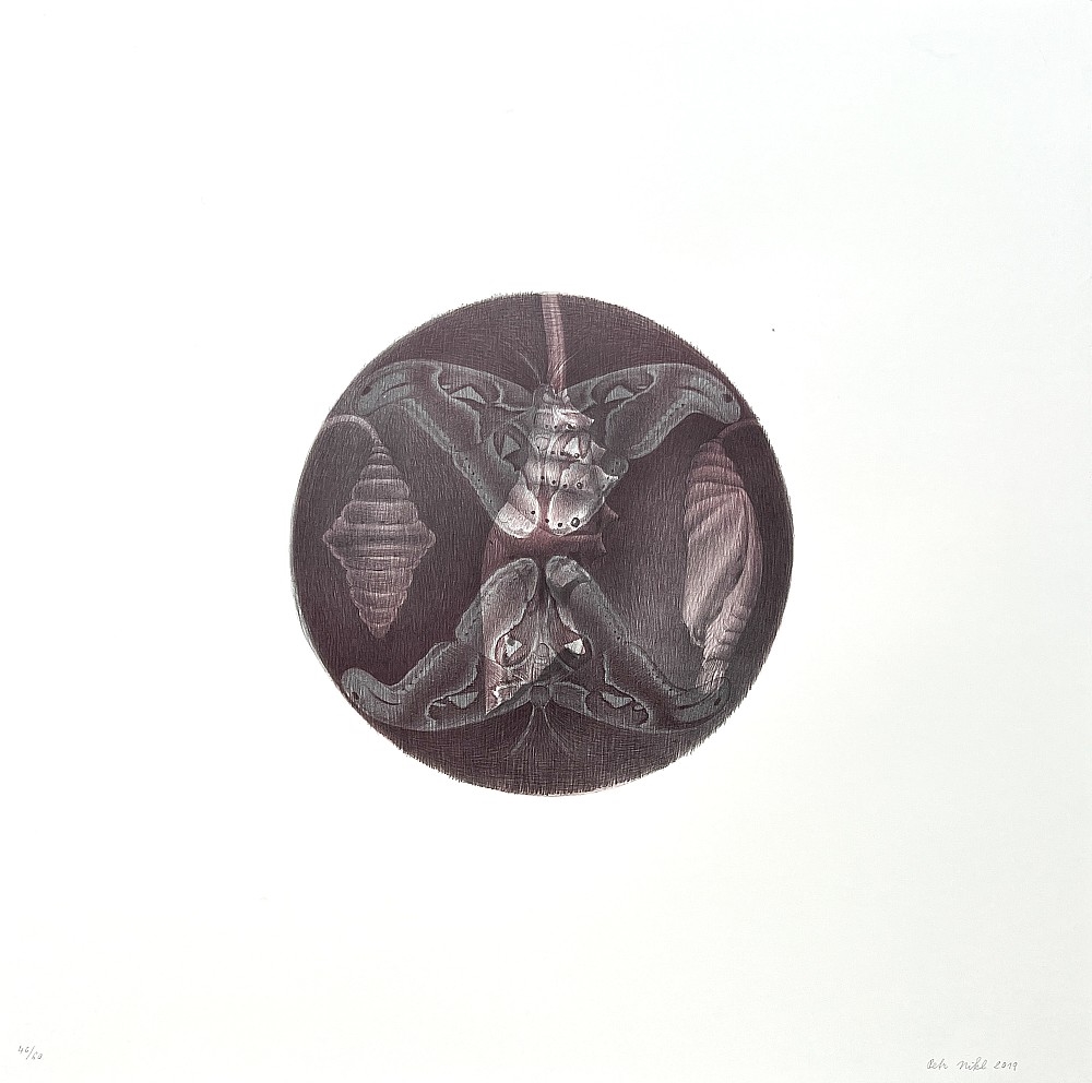Petr Nikl | Atlas velký: Hadí motýl III (2019) | MutualArt