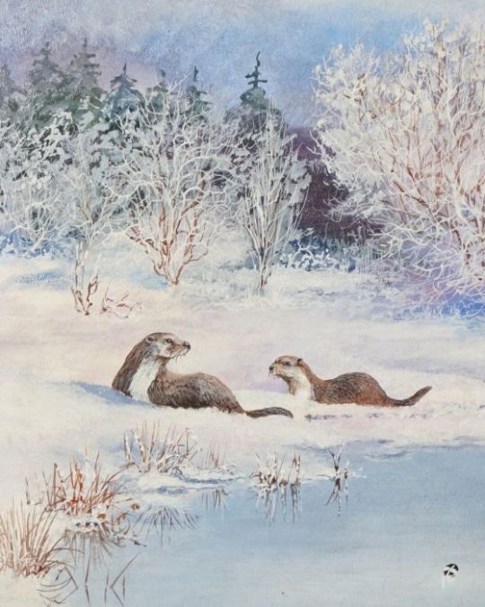David Feather | Otters in Snow | MutualArt