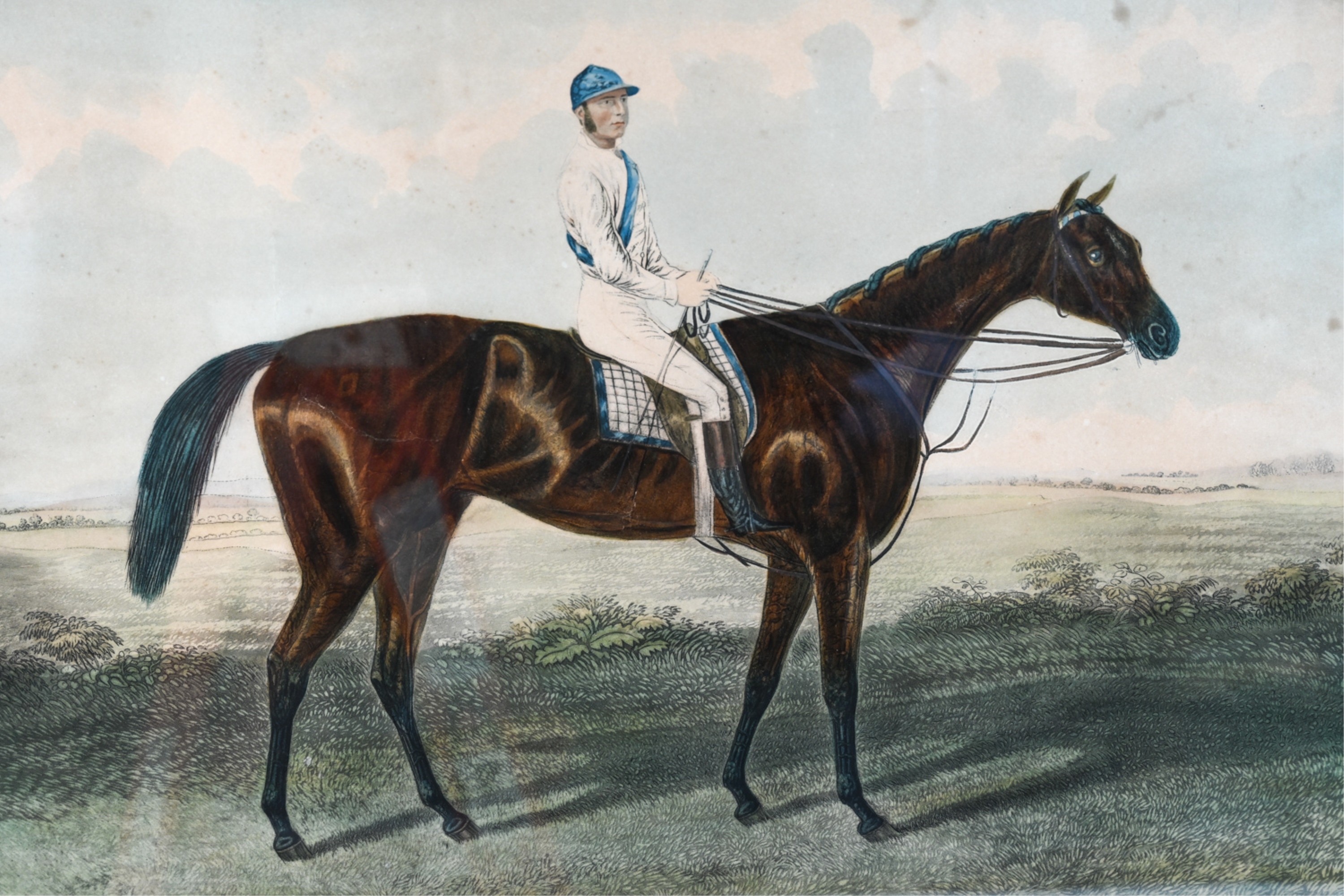 Robert The | HORSE ENGRAVING 1880 (1880) | MutualArt