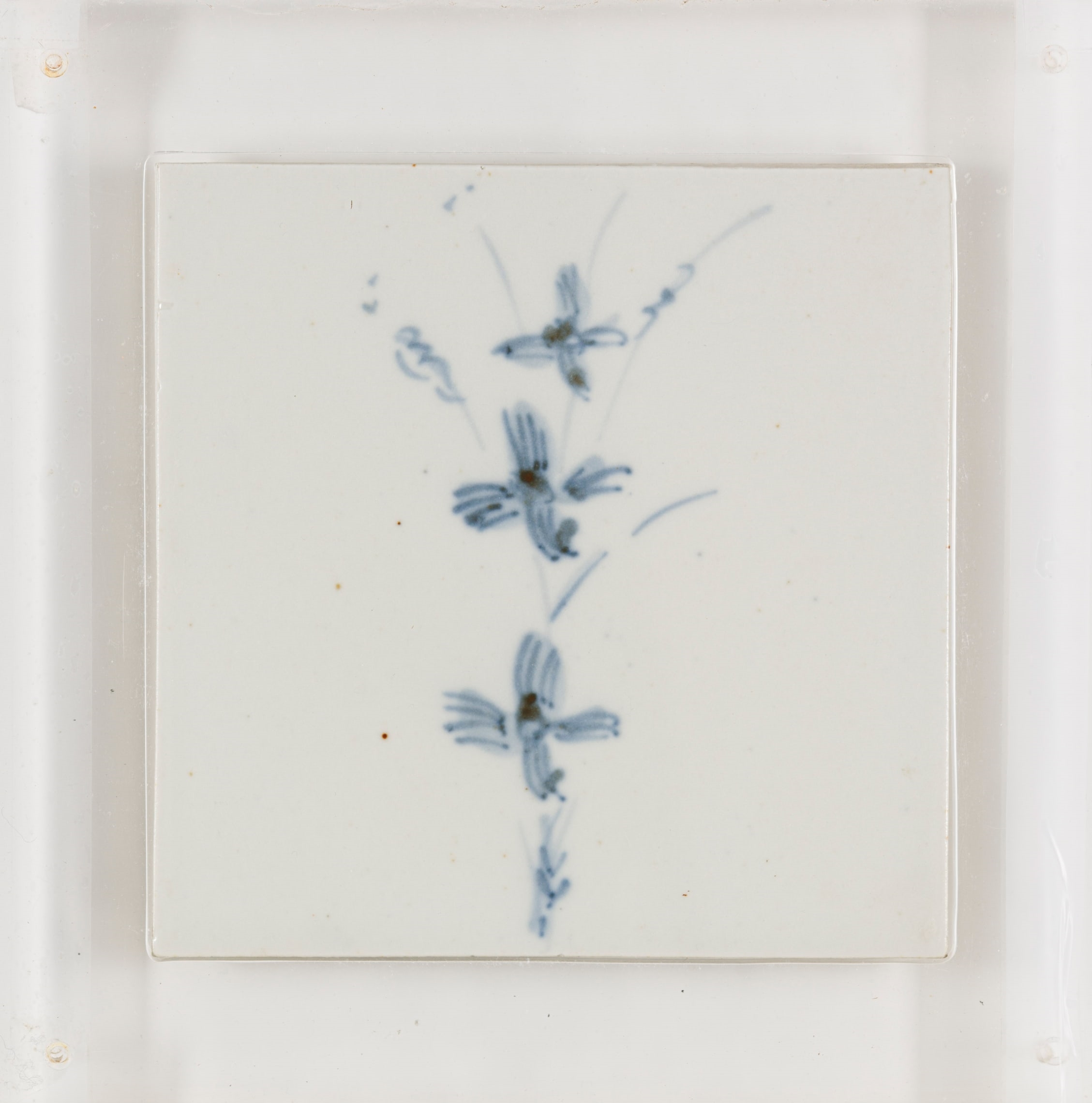 Esias Bosch | Porcelain Tile | MutualArt