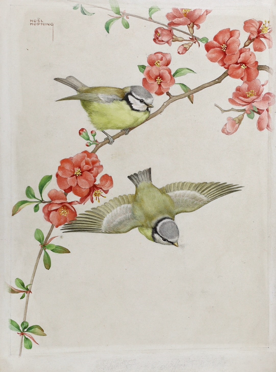 Noël Hopking | 'Blue tits on Japonica | MutualArt