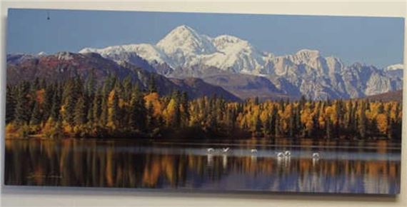 Shane Lamb | 19 Artworks | MutualArt