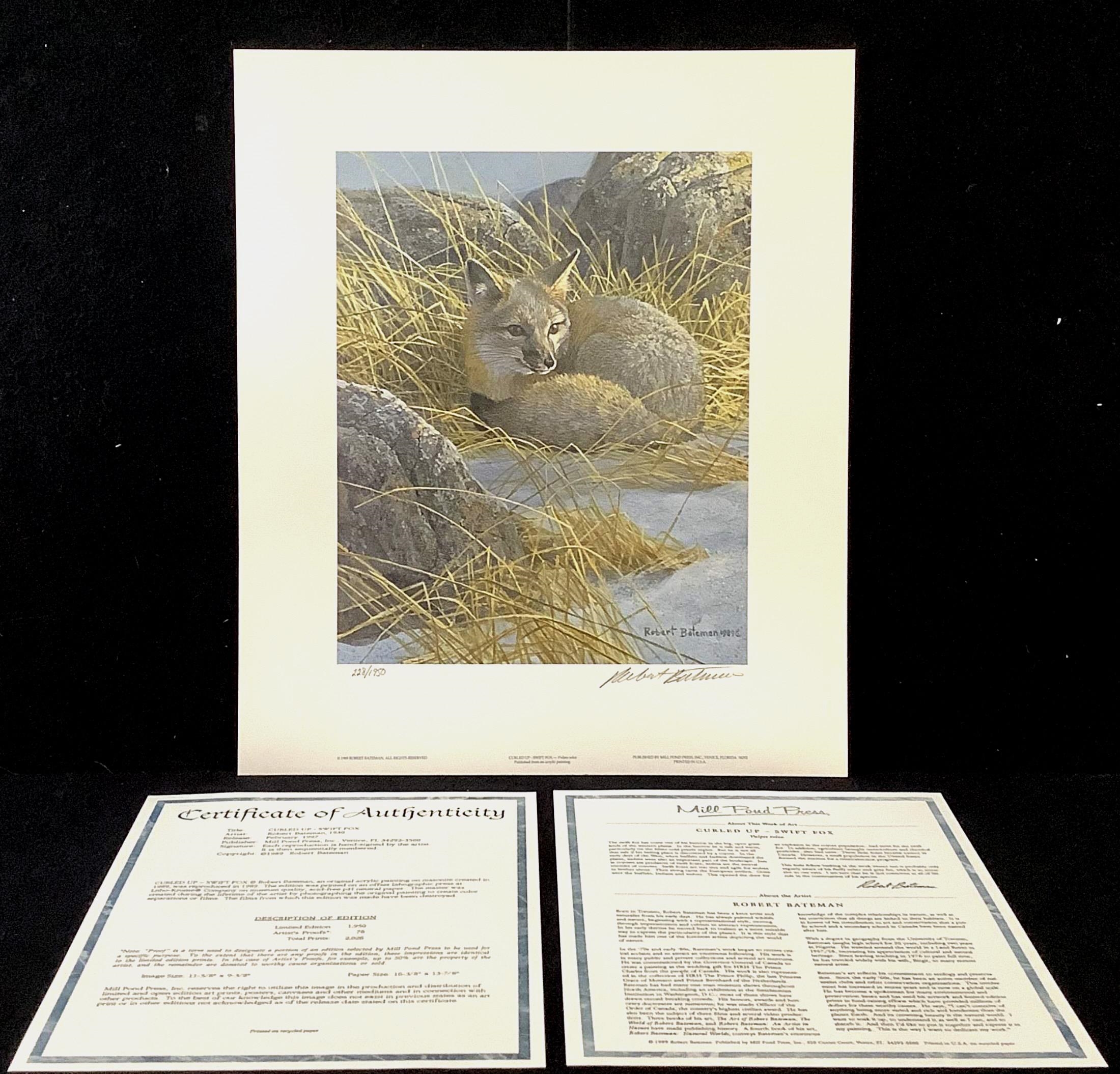 Robert Bateman | Curled Up-Swift Fox | MutualArt
