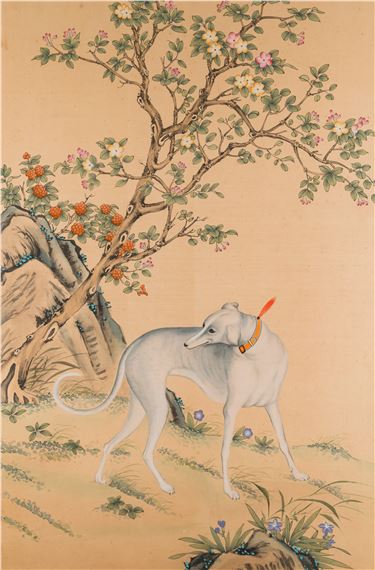 Giuseppe Castiglione | A Chinese greyhound (20) | MutualArt
