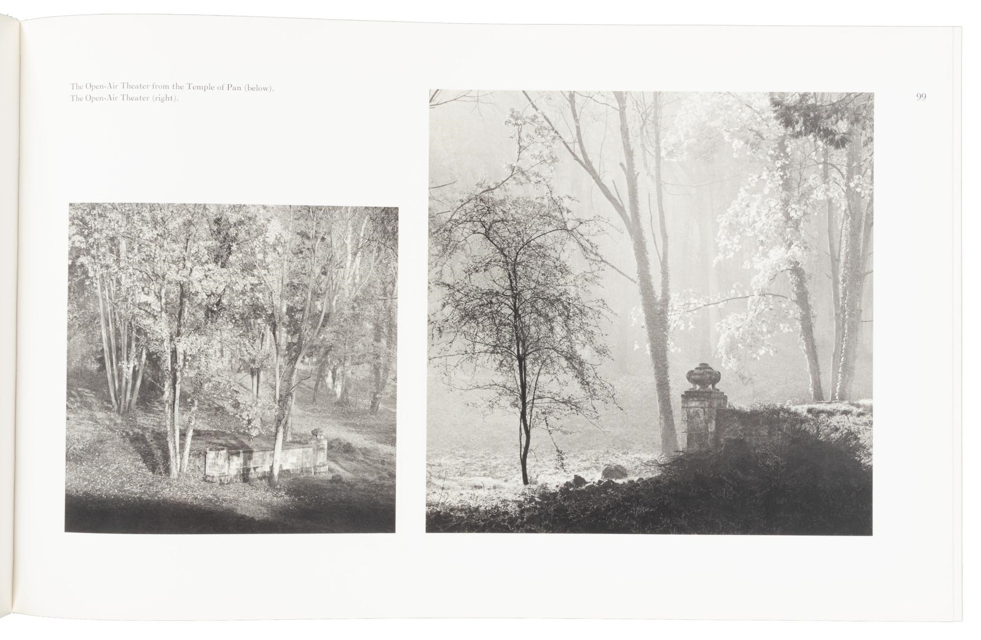 Diana Ketcham | Le Désert De Retz: A Late Eighteenth-Century French ...