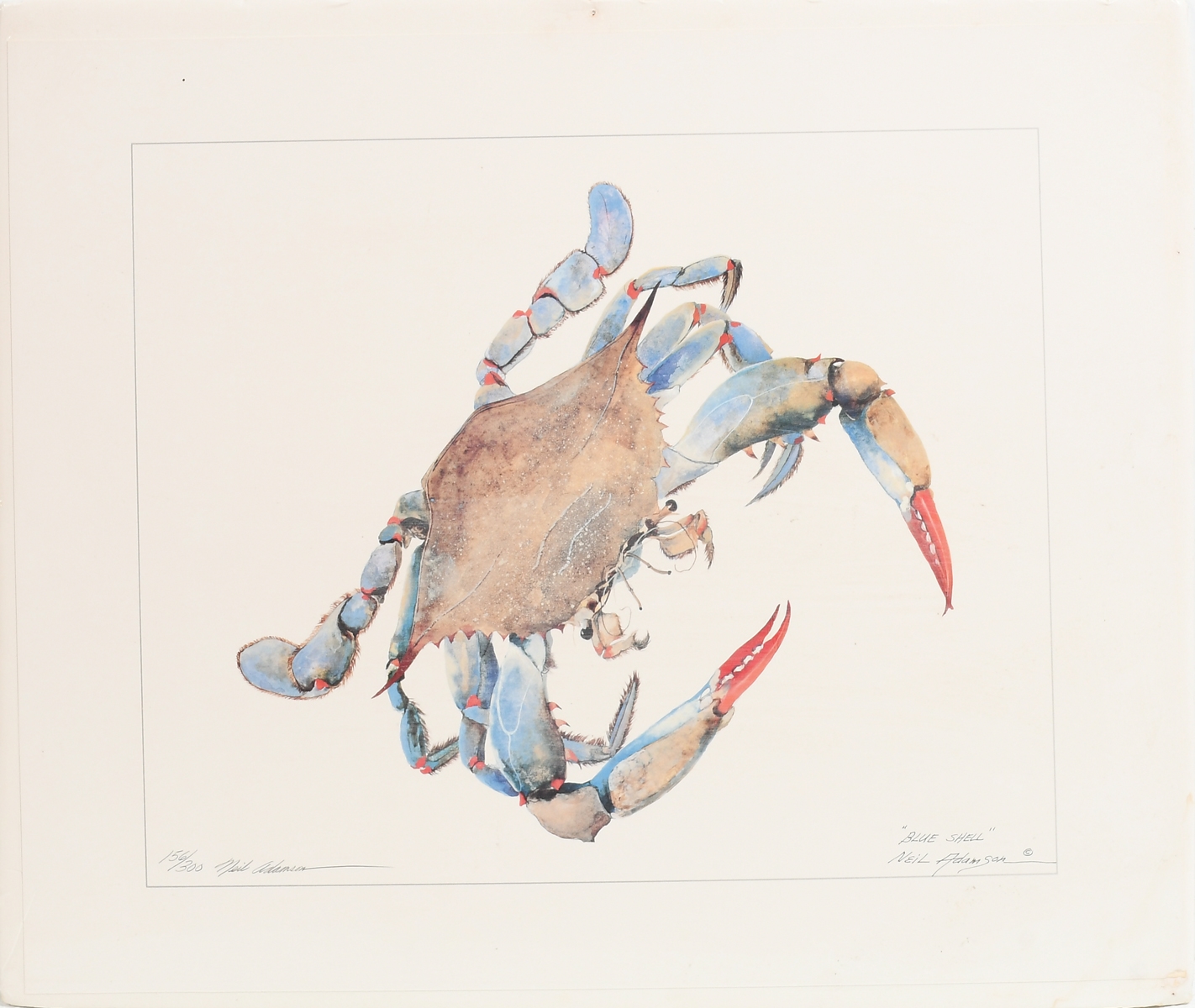 Neil Adamson | 1) Gulf Gypsy; 2) Painted Buntings; 3) ''Marsh Resident ...