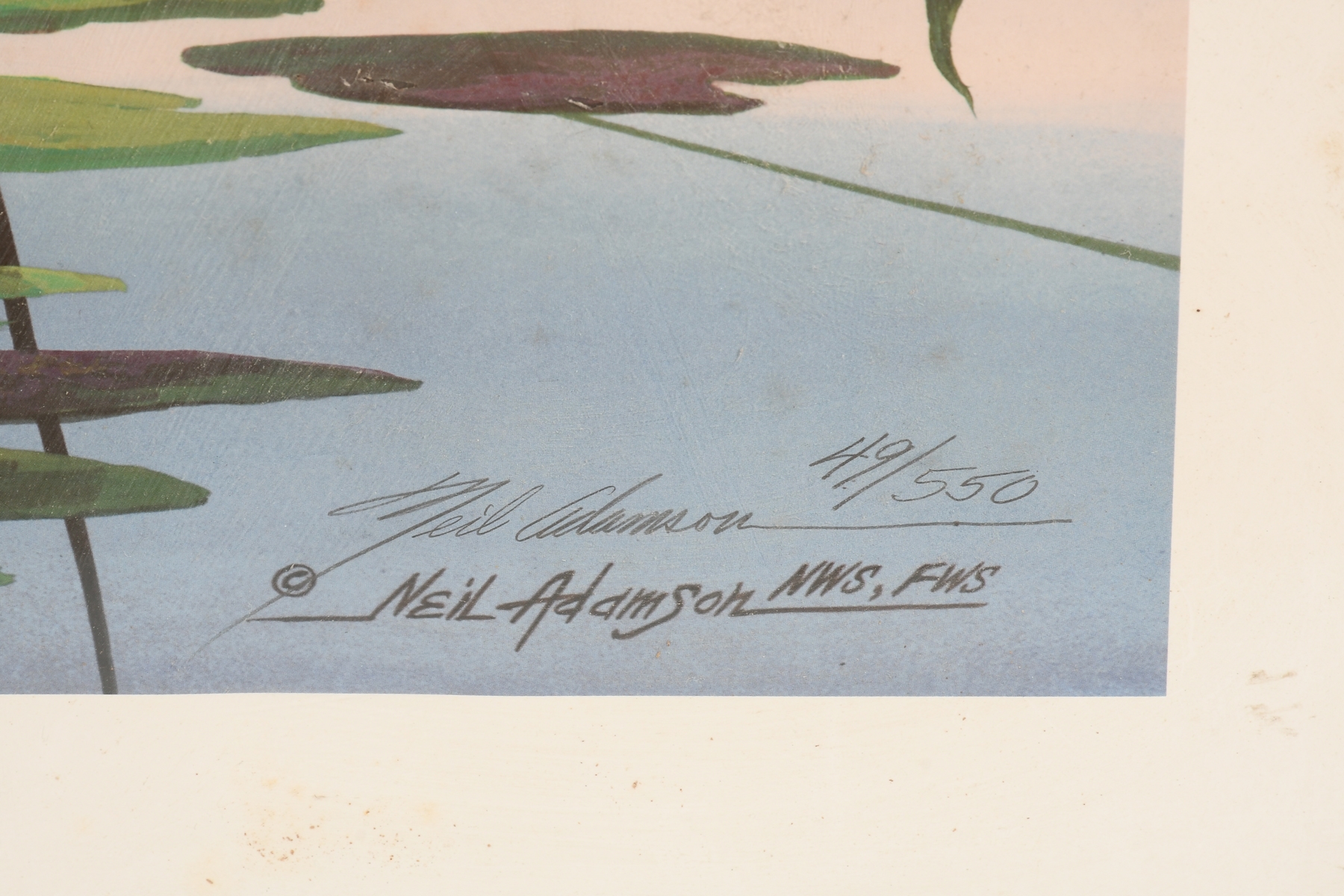 Neil Adamson | 1) Gulf Gypsy; 2) Painted Buntings; 3) ''Marsh Resident ...