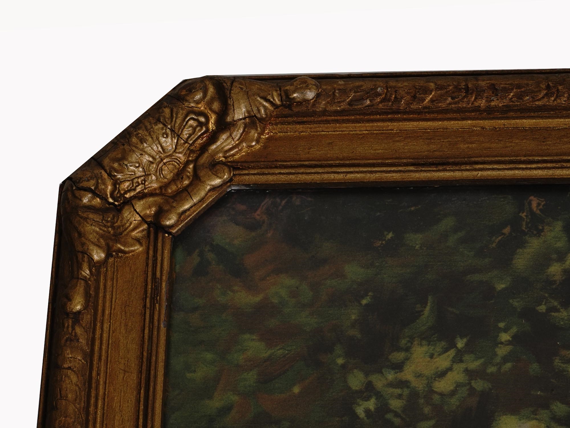 Robert Atkinson Fox | an American Canadian illustrator and naturalist ...